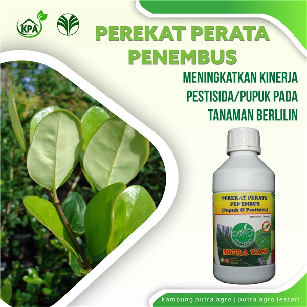 PEREKAT PERATA PENEMBUS untuk Pupuk & Pestisida PEREKAT PERATA PENEMBUS untuk Pupuk & Pestisida