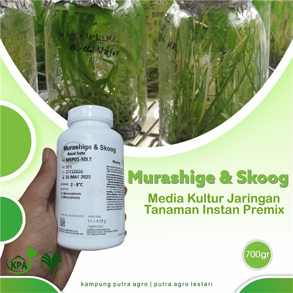 Murashige and Skoog with Vitamin - Media Kultur Jaringan