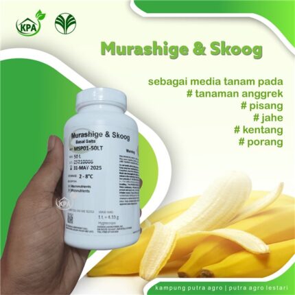 Murashige and Skoog with Vitamin - Media Kultur Jaringan